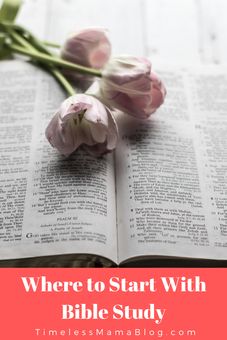 How to Start Studying the Bible